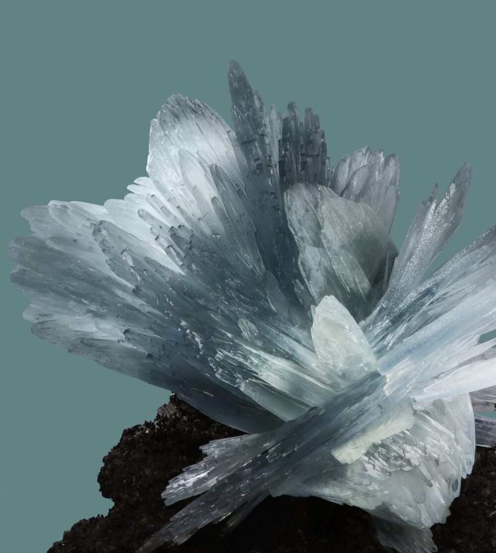 Download the Google Pixel 8 wallpapers here - Android Authority