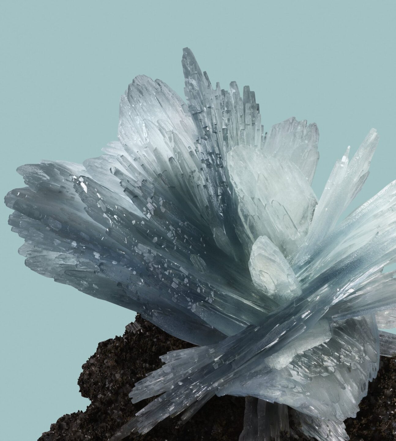 Download the Google Pixel 8 wallpapers here - Android Authority