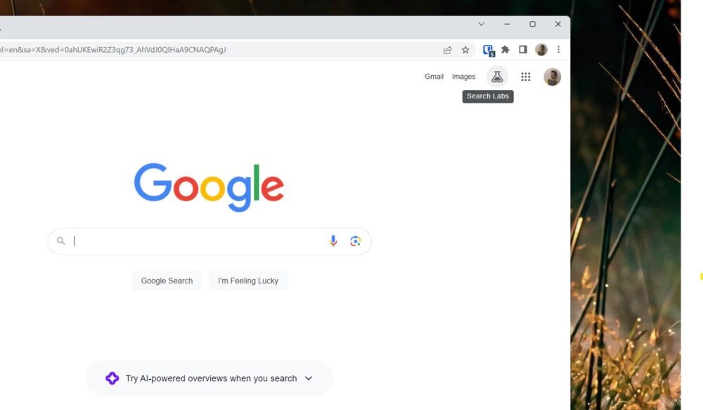 Google's Search Generative Experience tested: A Bing competitor at last