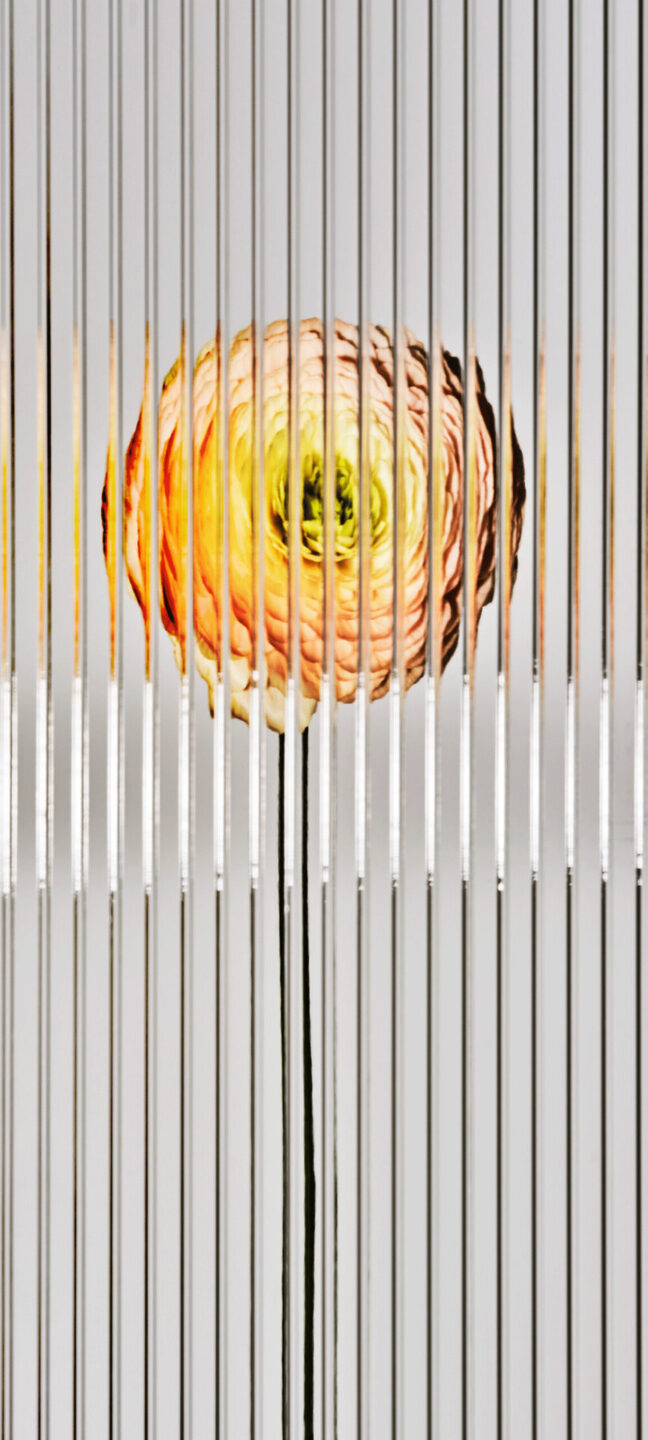 Download the Nothing Phone 2 wallpapers here! - Android Authority