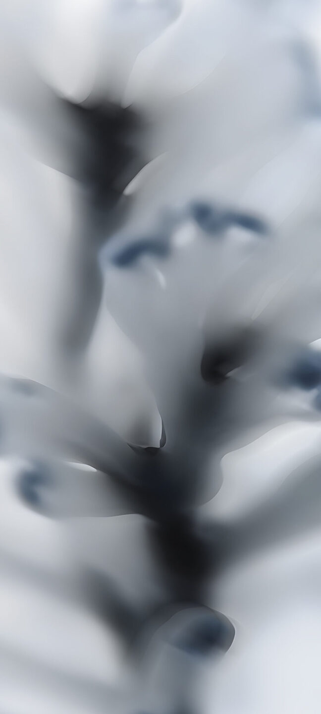 Download the Nothing Phone 2 wallpapers here! - Android Authority