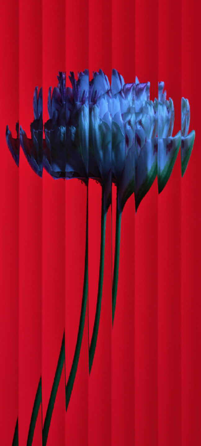 Download the Nothing Phone 2 wallpapers here! - Android Authority