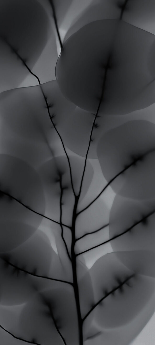 Download the Nothing Phone 2 wallpapers here! - Android Authority