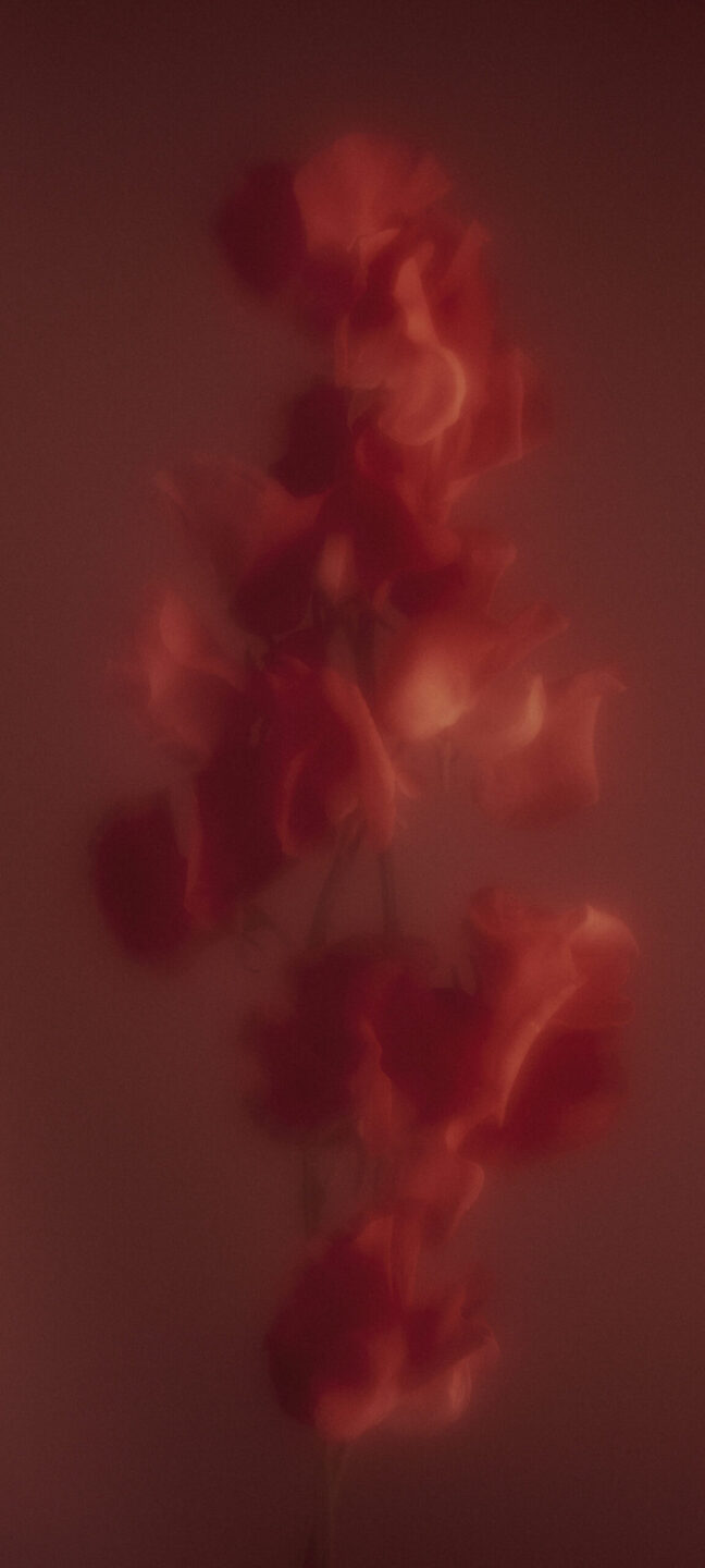 Download the Nothing Phone 2 wallpapers here! - Android Authority