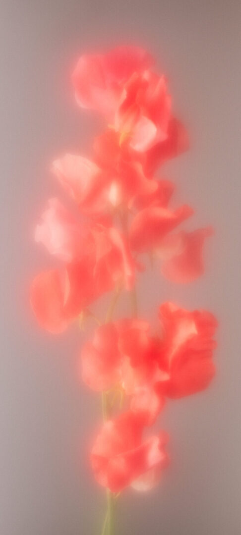 Download the Nothing Phone 2 wallpapers here! - Android Authority