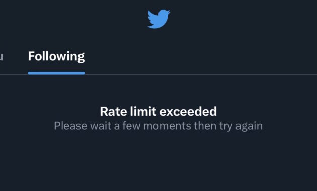 Twitter imposes daily limit on number of posts users can see