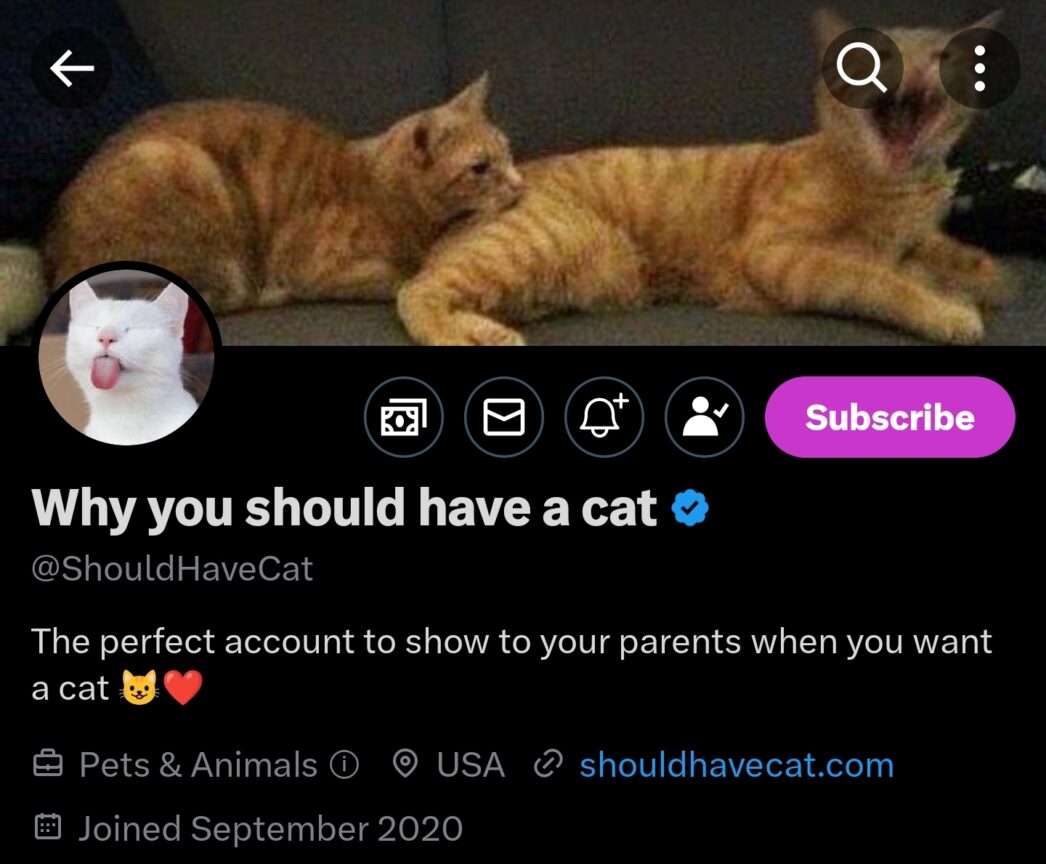 X (Twitter) vs Threads by Meta: Which social media platform is better?