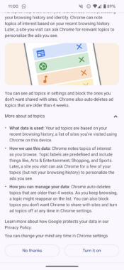 Chrome's Privacy Sandbox update puts web privacy in Google's hands