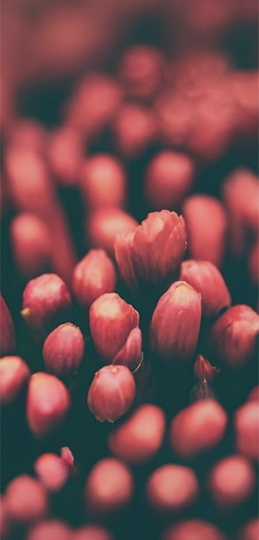 Android 14's AI wallpapers are super cool, check them out! - Android ...