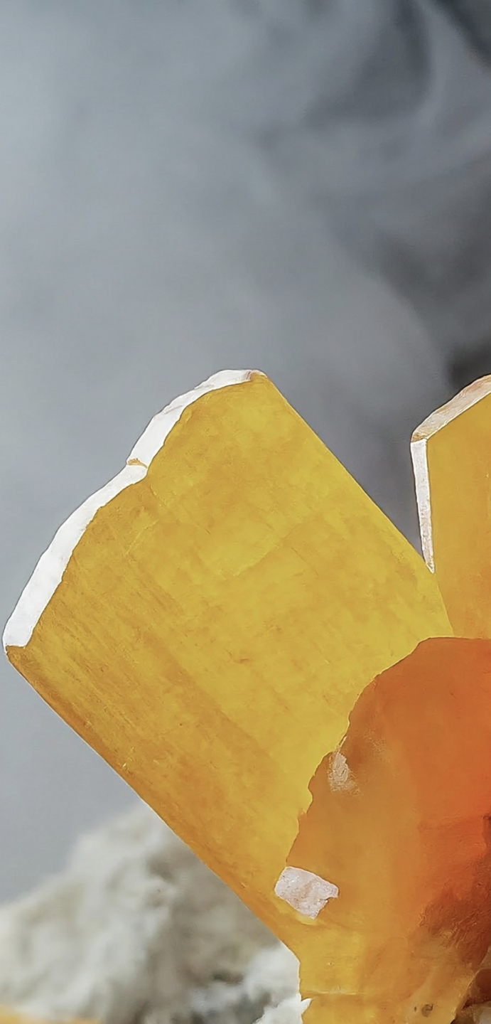 Android 14's new AI wallpapers are great, but Backdrops still has my heart