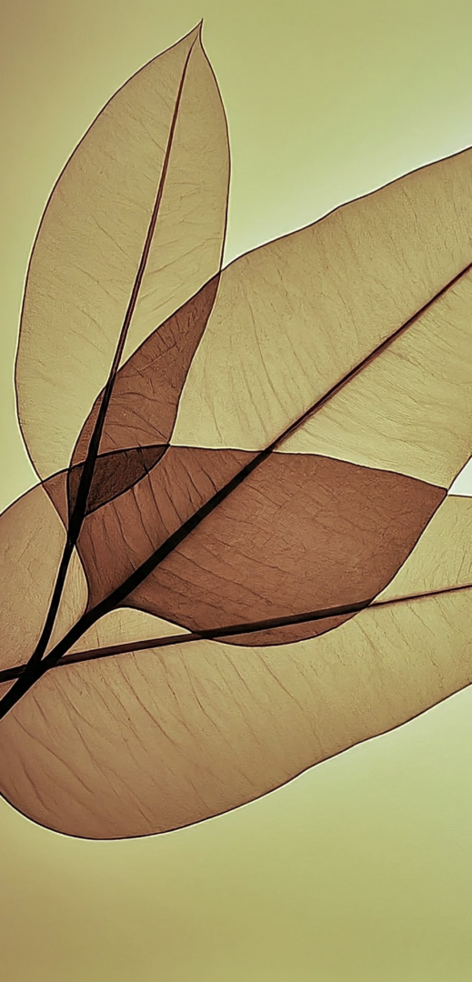 Android 14's new AI wallpapers are great, but Backdrops still has my heart