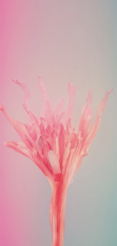 Android 14's new AI wallpapers are great, but Backdrops still has my heart