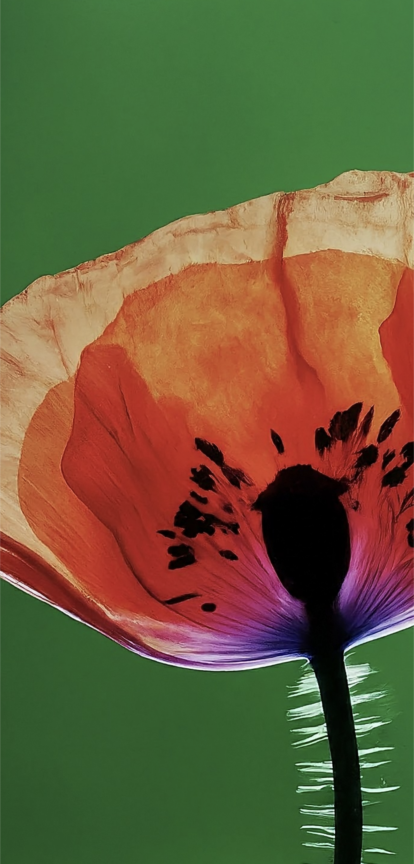 Android 14's AI wallpapers are super cool, check them out! - Android ...