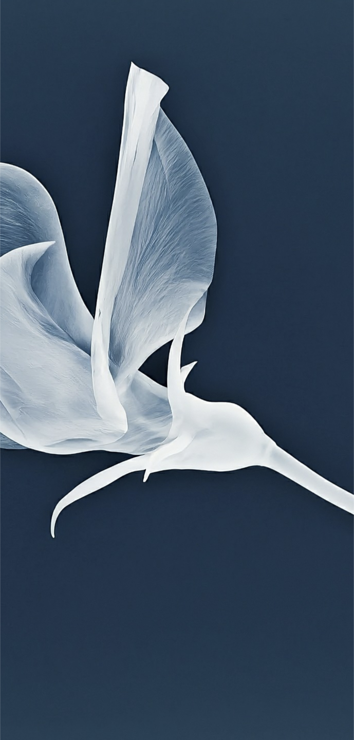 Android 14's AI wallpapers are super cool, check them out! - Android ...