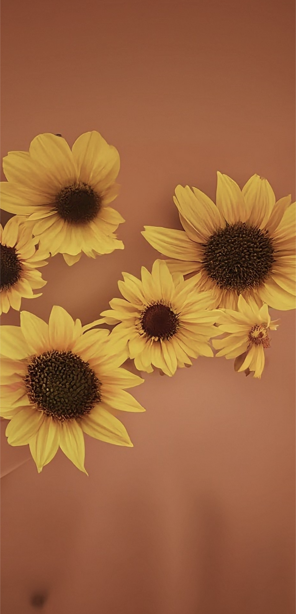 Android 14's AI wallpapers are super cool, check them out! - Android ...