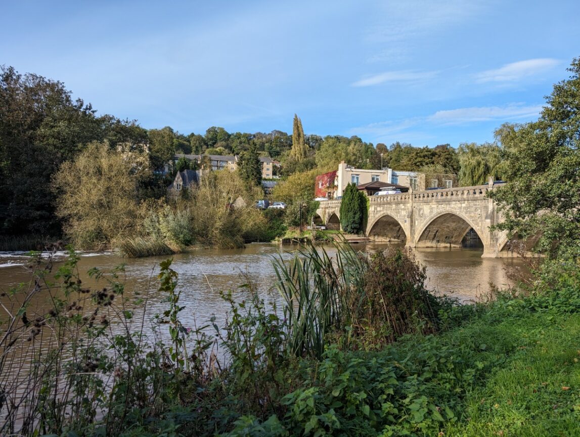 Google Pixel 8 cameras: Specs, features, and more