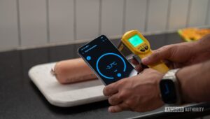 Pixel Thermometer body temp measurements come to Europe - Android Authority