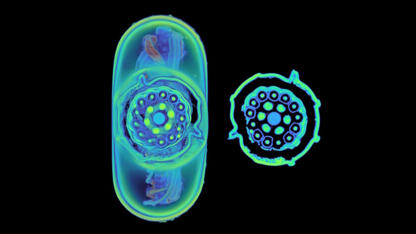 This is the difference between a $5 USB-C cable and a $129 USB-C cable