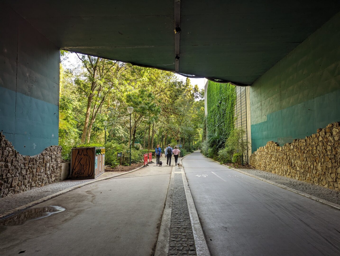 Google doesn't need state-of-the-art cameras to revolutionize photography