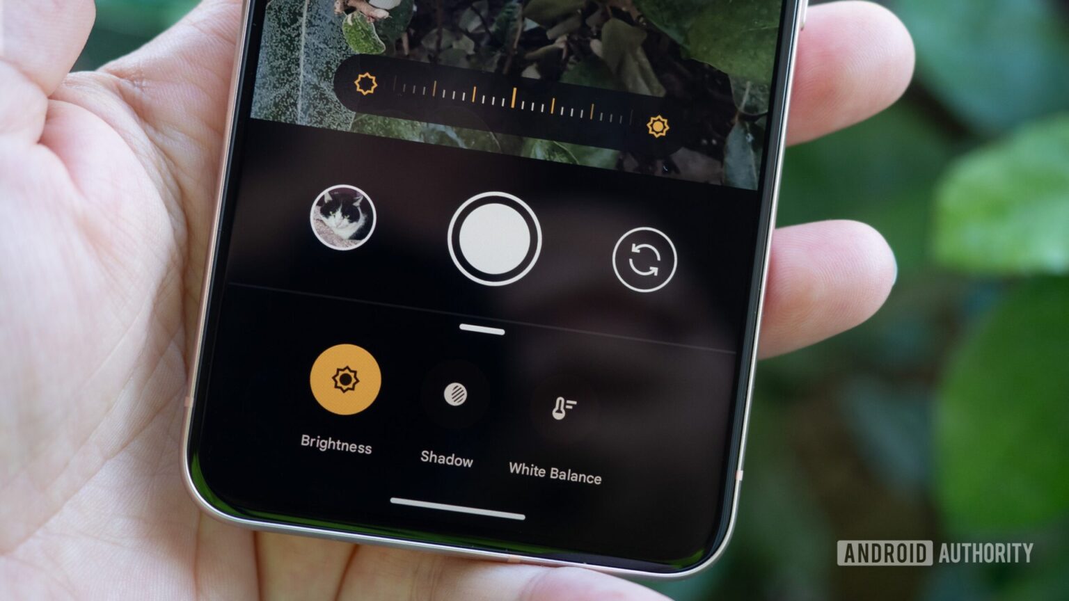 The camera app on the Pixel 8 has ruined one of my favorite Pixel features