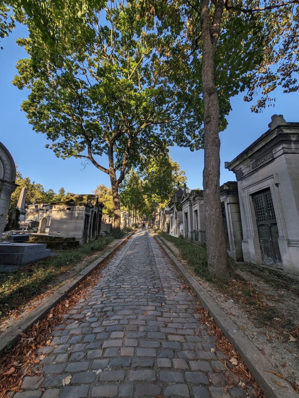 Does the Pixel 8 Pro take better photos than the Pixel 7 Pro? We tested ...