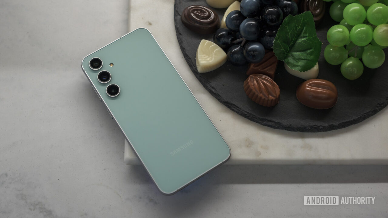 Does the Samsung Galaxy S23 FE support eSIM and dual-SIM?