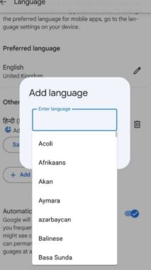How to change the Google search language