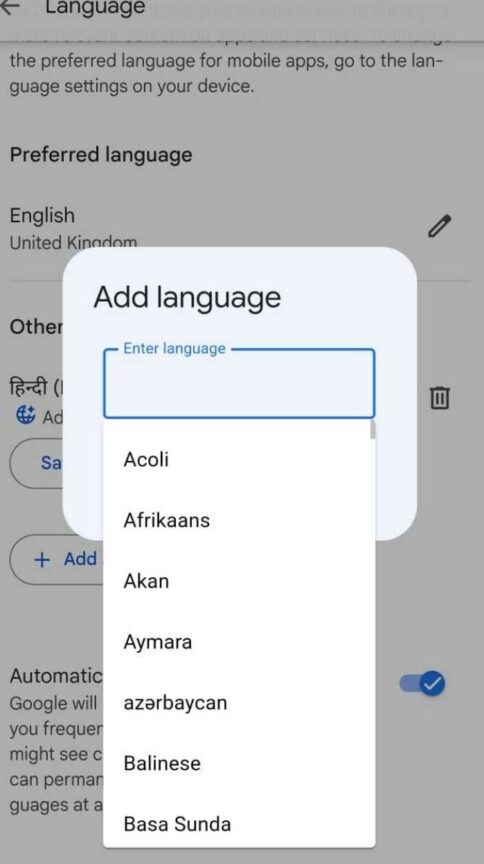 How to change the Google search language