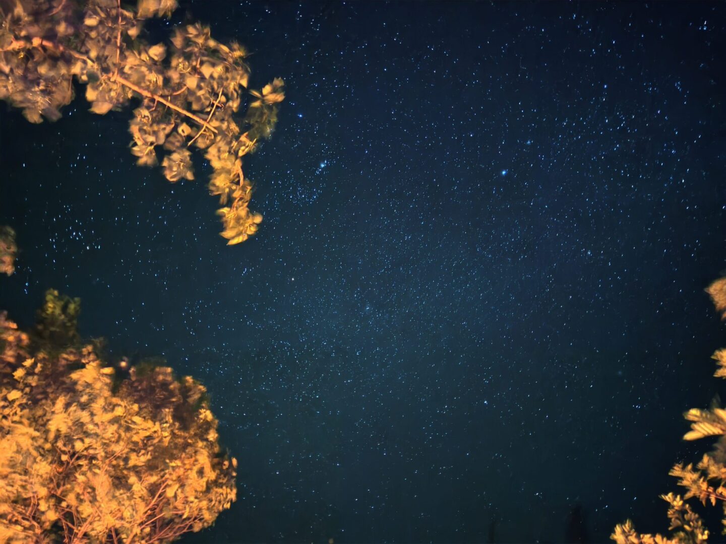 Vivo X100 Pro review: Should you buy it?