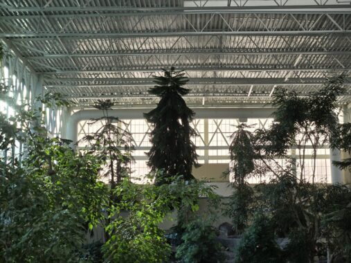 Samsung Galaxy S24 Plus review: Should you buy it?