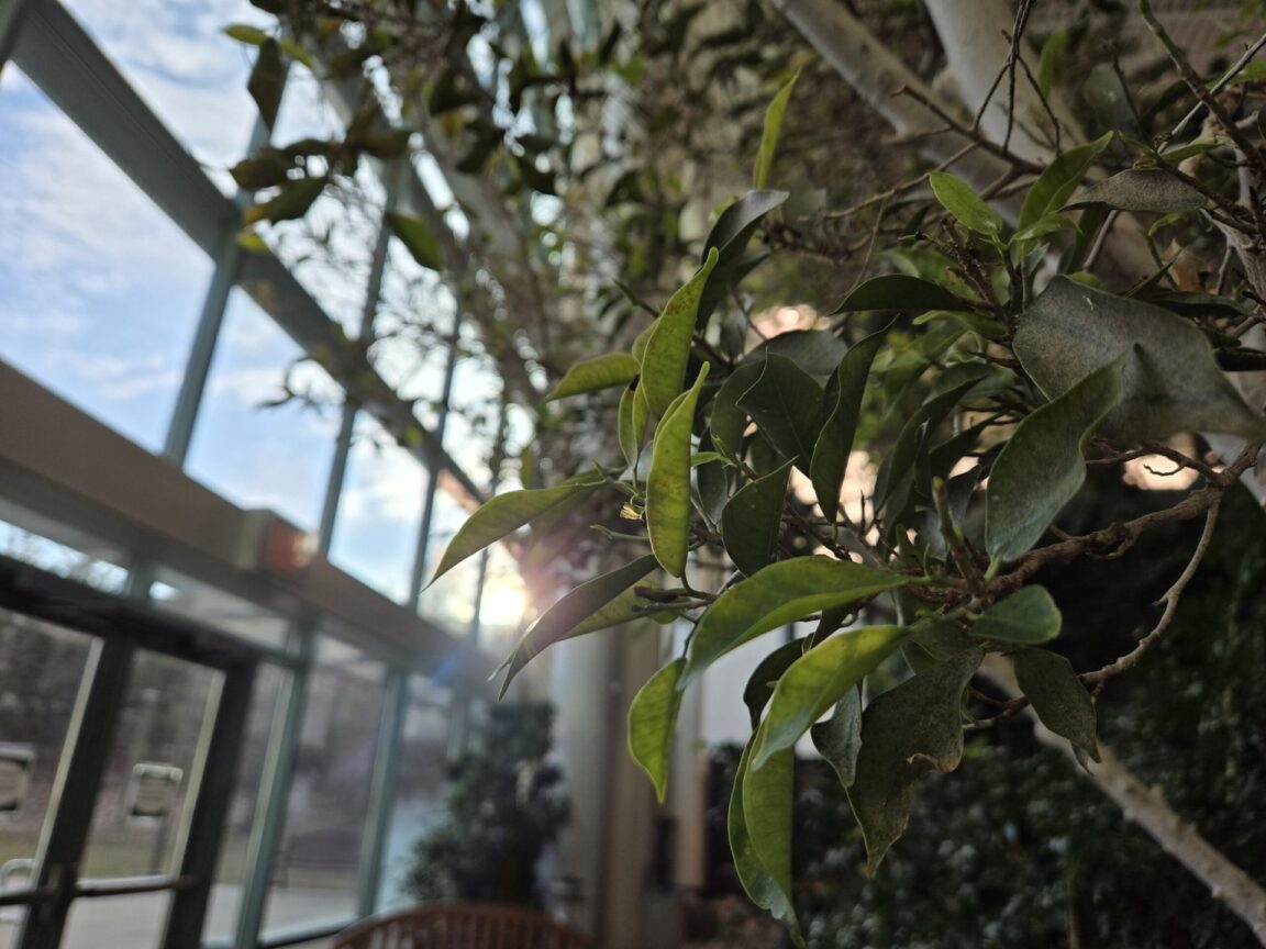 Samsung Galaxy S24 Plus review: Should you buy it?