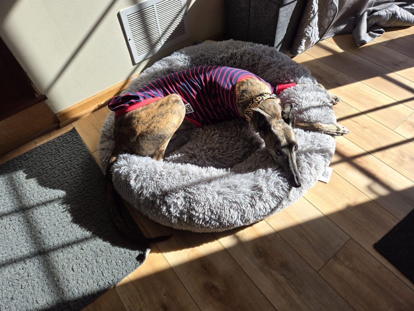 Samsung Galaxy S24 Plus review: Should you buy it?