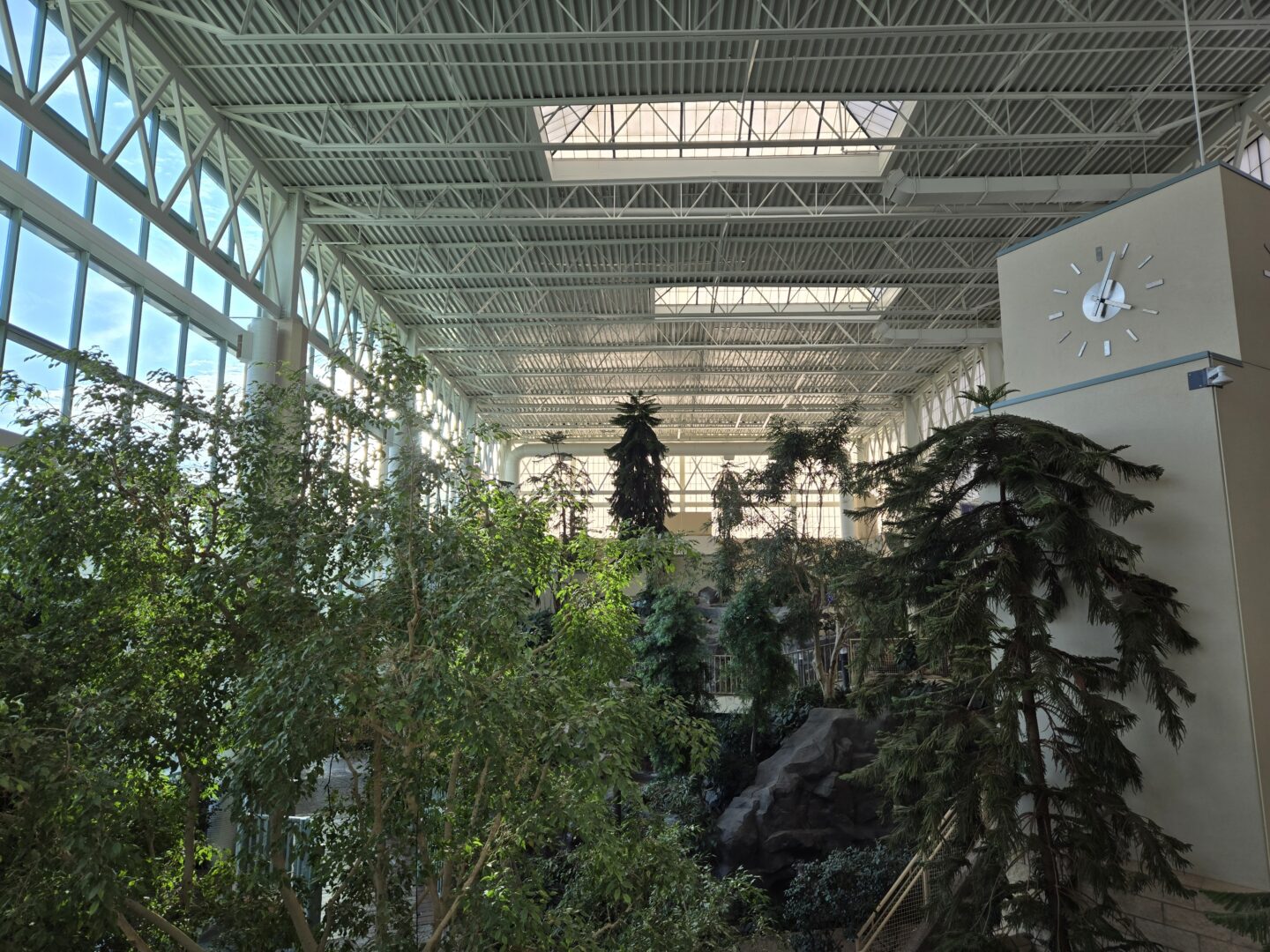 Samsung Galaxy S24 cameras: Here's what you need to know