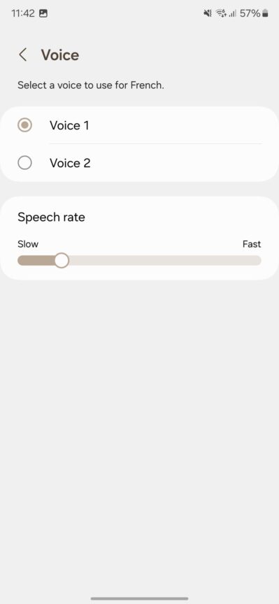 Galaxy S24 Live Translate tested: Does it work as advertised?