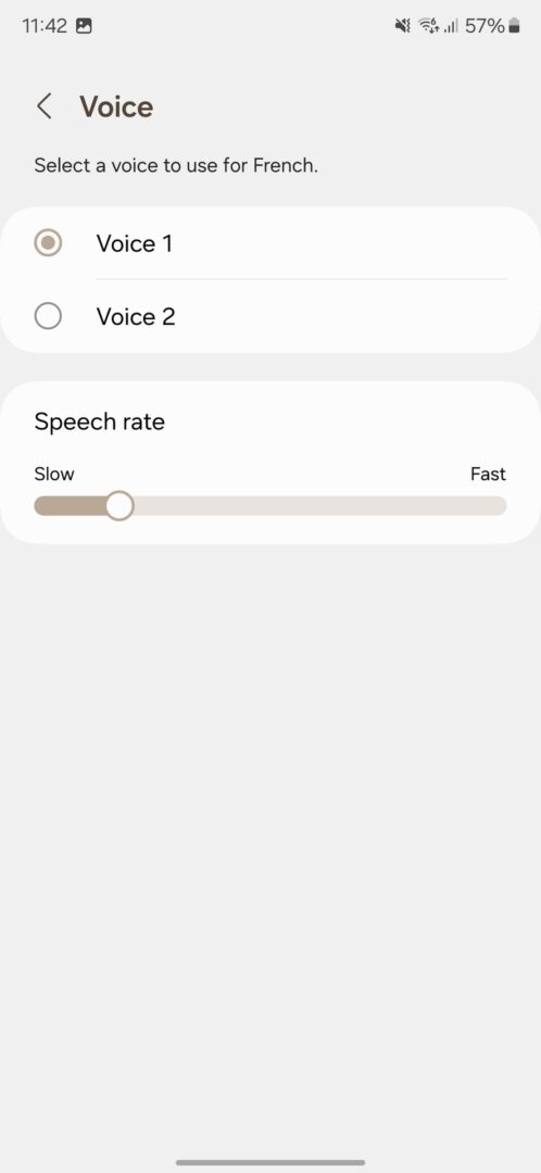 Galaxy S24 Live Translate tested: Does it work as advertised?