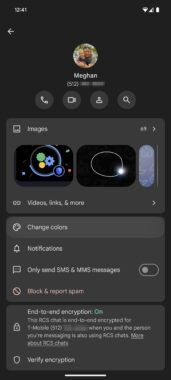 This new Google Messages feature lets you make anyone a 'green' bubble