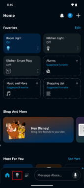 How to remove devices from Alexa - Android Authority