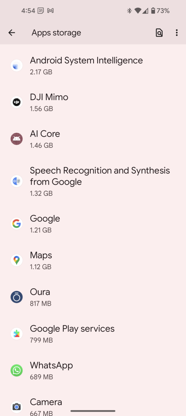 A 128GB Pixel 9 Pro should never exist, Google