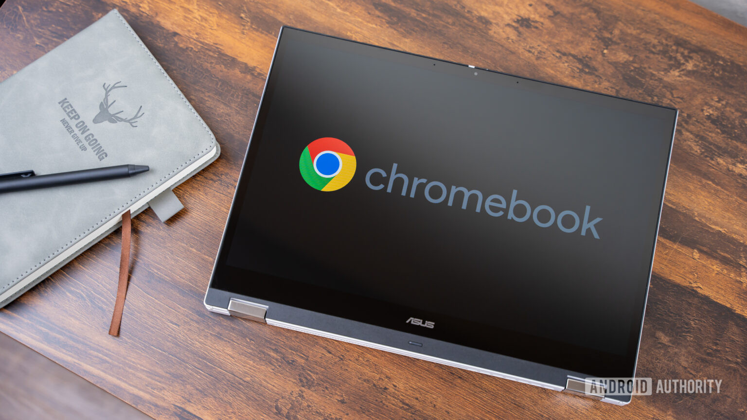 Steam on Chromebook: How to install it, run it, and more