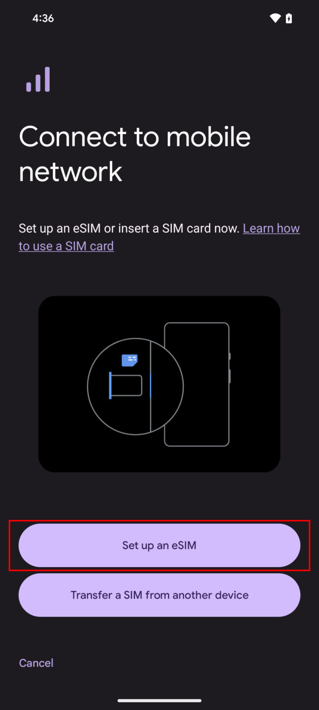 Does the Google Pixel 9 series support eSIM and dual-SIM? - Android ...