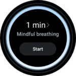 OnePlus Watch 2 update adds new Relax and Barometer apps