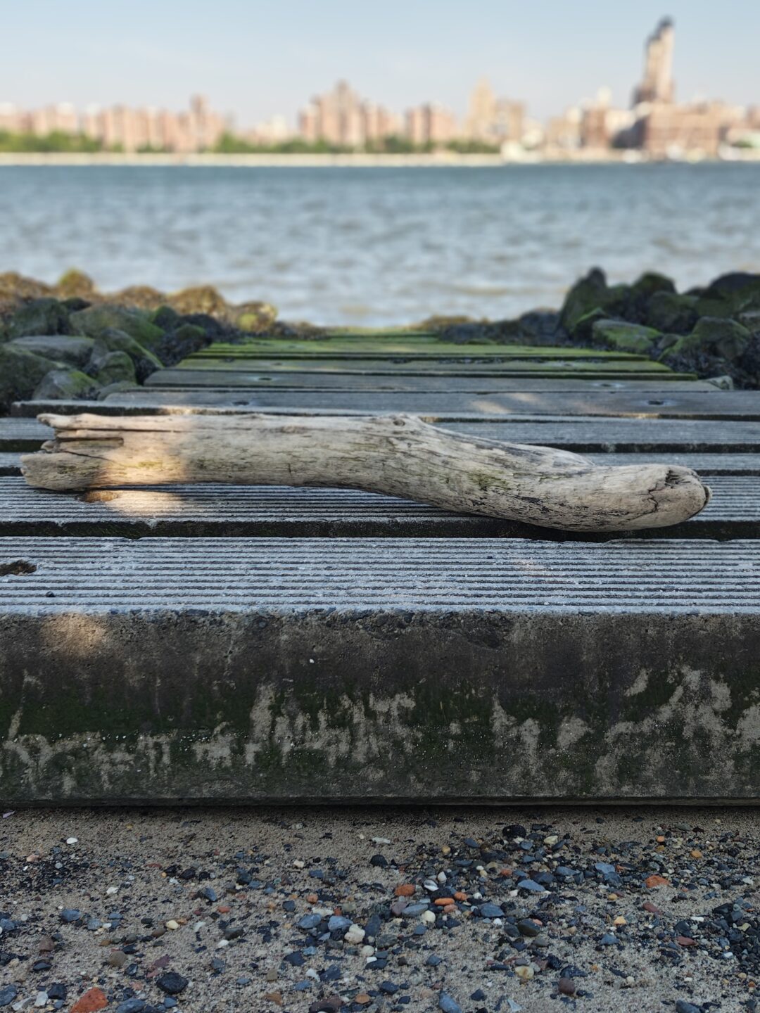 Motorola Razr and Razr Plus (2024) hands-on review - Android Authority