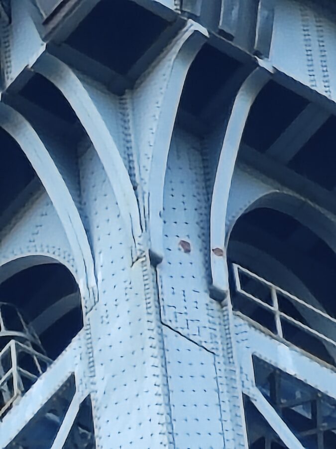 Motorola Razr and Razr Plus (2024) hands-on review - Android Authority