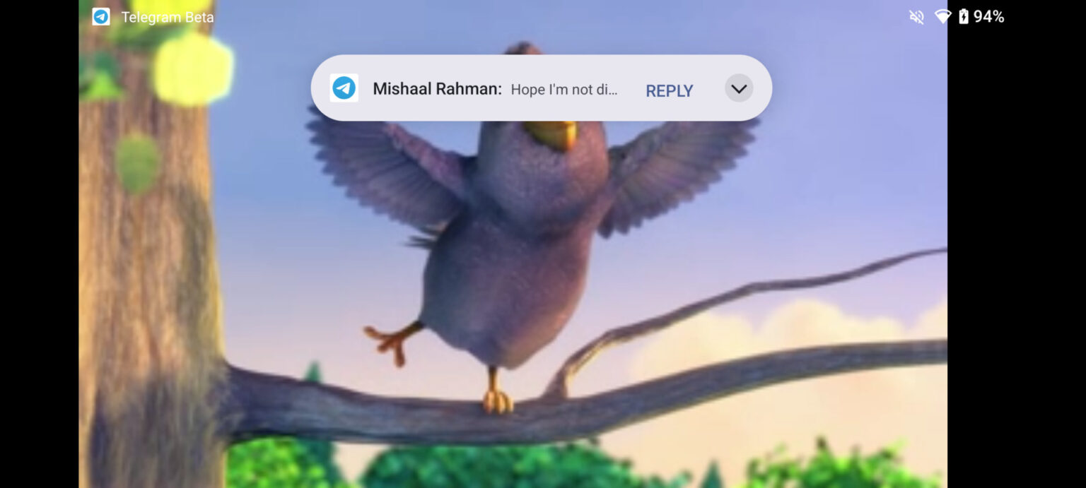 Android 15 QPR1 Beta 2 is live: Here's what's new