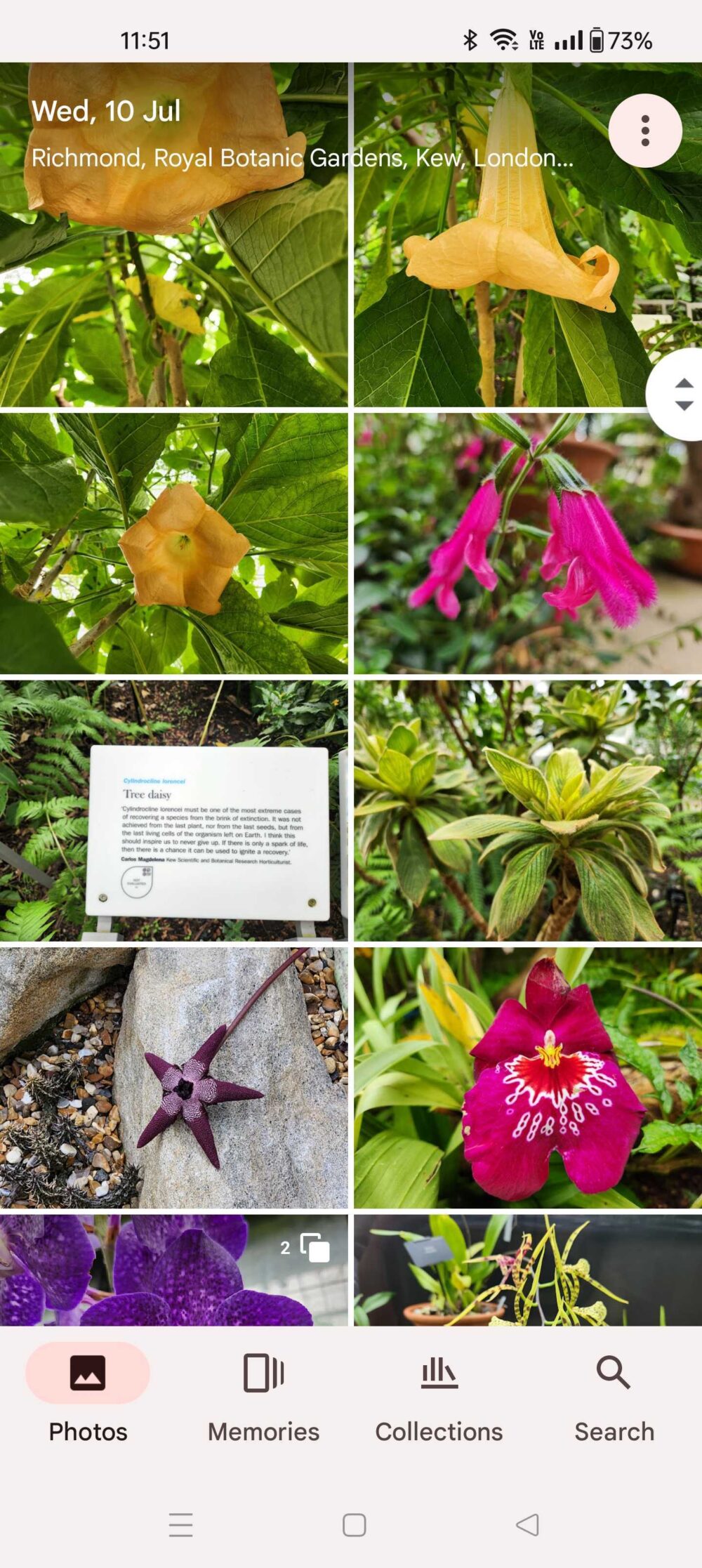 These are my 10 favorite Google Photos features - Android Authority