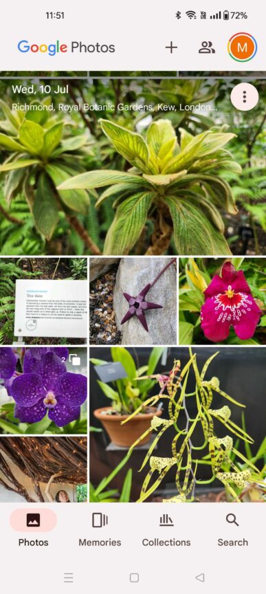 These are my 10 favorite Google Photos features - Android Authority
