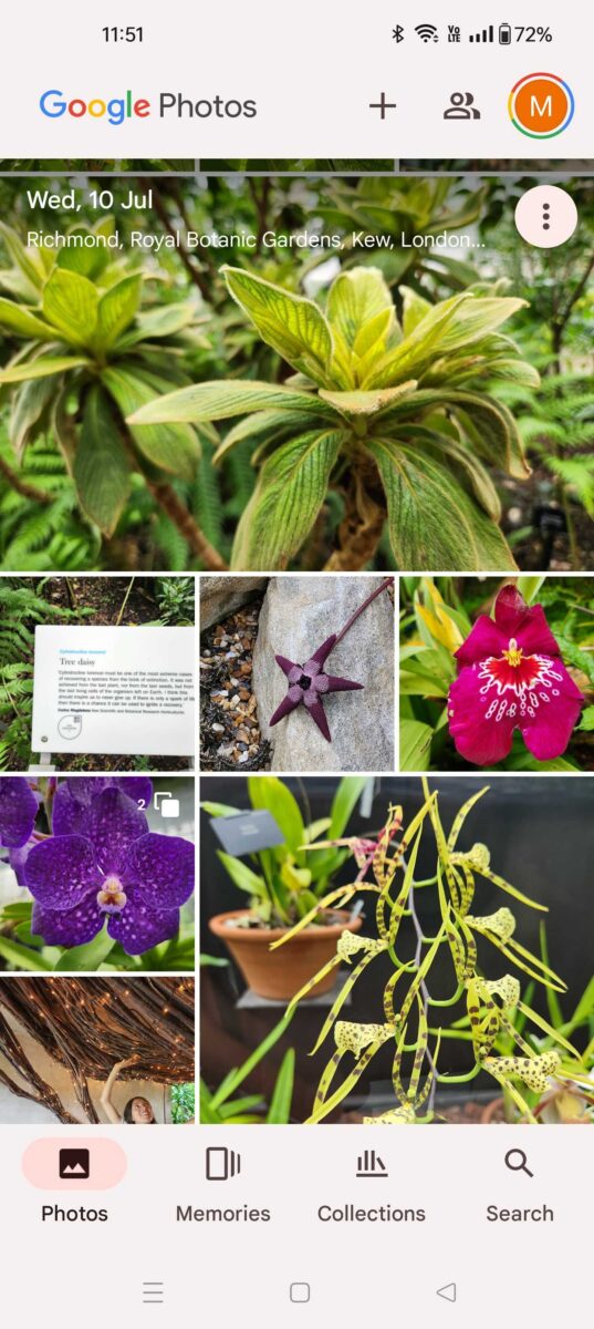 These are my 10 favorite Google Photos features - Android Authority