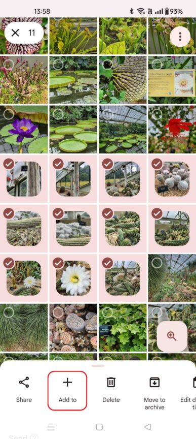 These are my 10 favorite Google Photos features - Android Authority