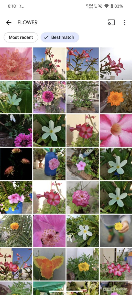 Google Photos prepares new search filters to help you sift through your ...