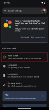 How to take a screenshot on the Pixel 9 phones - Android Authority